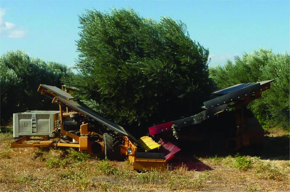 Coe Shaker | Used Olive Machinery from Australia