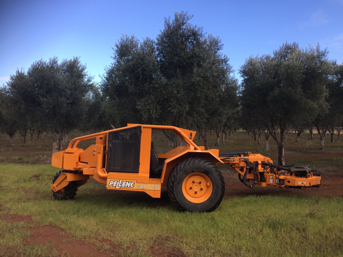 SOLD Used Pellenc Maxi 1200 Self propelled with Buggy Conveyor ...